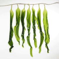 China Vitamin Rich Sea Organic Edible Phaeophyceae Kelp Fronds Umami Sea Vegetables For Salads Or Stir Fries for sale