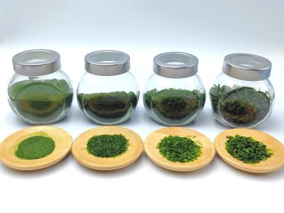 China Food Grade Nutrient Rich Green Aonori Dried Seaweed Ao Nori Ko Processed Crispy Snack With Umami Flavor for sale