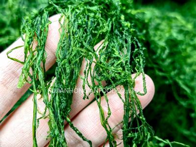 China Haccp Crispy Prolifera Seaweed Strips Emerald Green 150g Resealable Bag For Snacks Sushi for sale