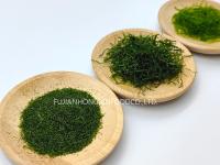 China Premium Enteromorpha Prolifera Strips Deep Green 250g Bulk Pack Vegan Cooking Essential for sale