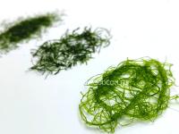 China Sun-Dried Prolifera Seaweed Flakes Forest Green 120g Pouch For Seaweed Popcorn Topping for sale