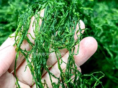 China Low Calorie Prolifera Seaweed Strips Jade Green 200g Resealable Pack For Stir-Fries for sale