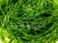 China HACCP Unbleached Enteromorpha Prolifera Strips Fresh Green 100g Pouch Great For Japanese-Inspired Miso Dashi Base for sale