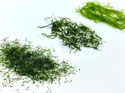China Crunchy Enteromorpha Prolifera Strips Vibrant Green 180g Pack Perfect Salad Topper for sale
