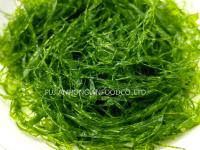 China Unsalted Enteromorpha Prolifera Flakes Jade Green 180g Jar Salad Omelette Boost for sale