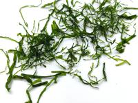 China Unsalted Enteromorpha Prolifera Flakes Jade Green 180g Jar Salad Omelette Boost for sale