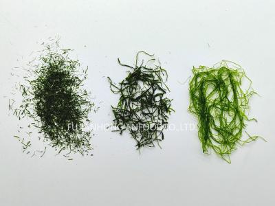 China Nutrient-Rich 500g Oceanic Green Prolifera Powder For Salads  Vegan Sushi Rolls for sale