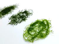 China Raw 100% Pure 400g Forest Green Prolifera Seaweed To Make Energy Bars Cookies for sale