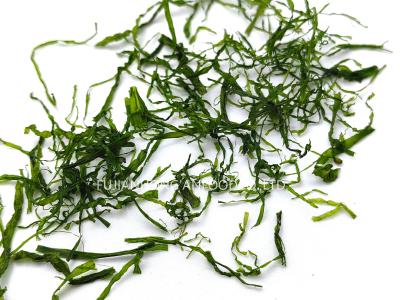 China HACCP Sustainably Harvested 350g Mossy Green Prolifera Ulva Seaweed Added In Salad for sale