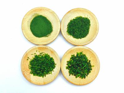 China Pure Seaweed Aonori In Lively Green For Exquisite Asian Dishes for sale
