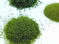 China Natural Aonori Vivid Green In Color For Seasoning Soups And Salads for sale