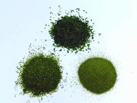 China Aonori Fine Textured Seaweed In Lively Green For Grilled Dishes for sale
