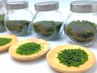 China Aonori Made of Premium Seaweed in Emerald Green Elevate Your Pasta Sauces for sale