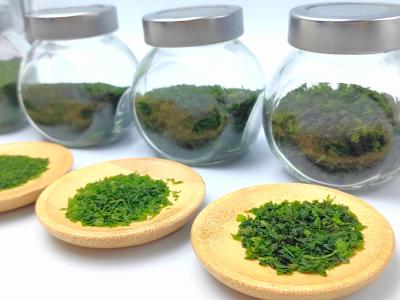 China Aonori Made of Premium Seaweed in Emerald Green Elevate Your Pasta Sauces for sale