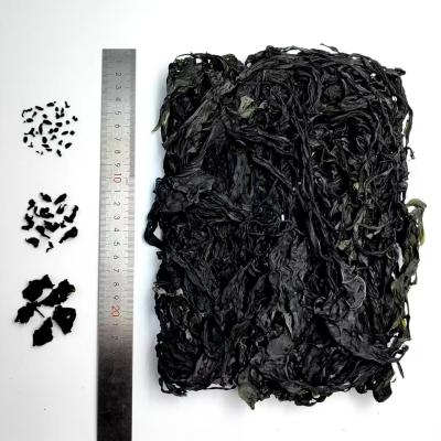 China Elevate Your Cooking With Organic Wakame Tender Leaves Deep Green Hue Endless Culinary Uses for sale
