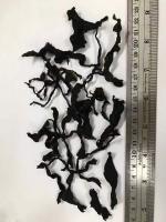 China Elevate Your Cooking With Organic Wakame Tender Leaves Deep Green Hue Endless Culinary Uses for sale