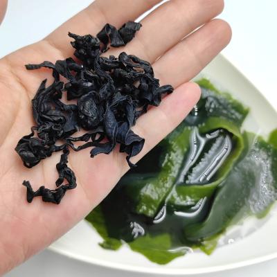 China Unlock Versatility Wakame Chewy Dark Green Leaves for Soups Snacks & Japanese Cuisine for sale