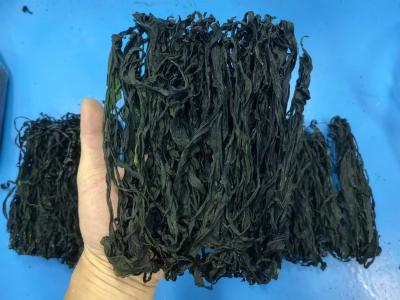 China Gourmet Seaweed Delight: Tender Wakame Lush Green Tone for Stir - Fries and Broths for sale