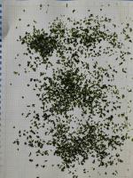 China Aonori（ANAAOSA 、NORI）seaweed for sale