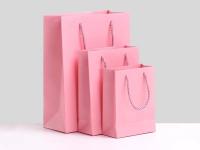 China Custom Logo   mini gift bags packaging for handbag  shopping paper bag for sale