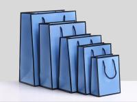 China Custom Logo   mini gift bags packaging for handbag  shopping paper bag for sale