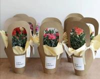 China 250g Kraft Flower Bouquet Paper Bag Recyclable Home Decoration for sale