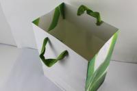 China Gloss Lamination Clothing Paper Bags for sale