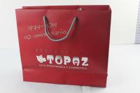 China Professional 100-450gsm Kraft Paper Bags PP Rope Handle Art Paper Bag for sale