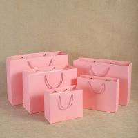 China ISO Offset Printing Clothing Paper Bags Underwear Cinnamon Pink Paper Bag for sale