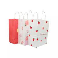 China Animal Print 90gsm 100gsm 110gsm Paper Shopping Bags With Twisted Handles for sale