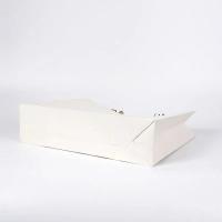 China White Varnishing Apparel Paper Bag 190gsm To 350gsm Jewelry Gift Pouches for sale