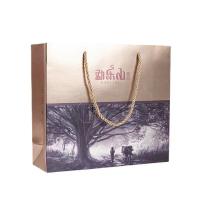 China UV Abrazine Printed Paper Shopping Bags Personalized Promotion Gift Bag for sale