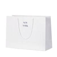 China Pantone Colors Clothing Shoe Kraft Paper Bags Offset Printing Promotion Gift Bag for sale