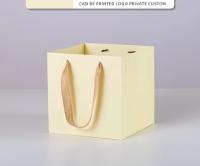 China 15x15x15 Plain Paper Shopping Bags for sale