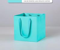 China 15x15x15 Plain Paper Shopping Bags for sale
