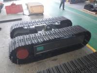 China Video Technical Support After Service Track Chassis Undercarriage for Energy Mining for sale