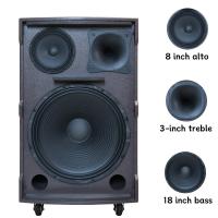 China 200W Loud Sound Bluetooth Speaker Portable Wooden Outdoor Trolley Speaker for sale