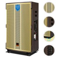 China 200W Loud Sound Bluetooth Speaker Portable Wooden Outdoor Trolley Speaker for sale
