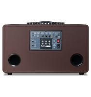 China 600W Bluetooth Karaoke Speaker Outdoor Wooden Portable Speaker With 2 Mics for sale