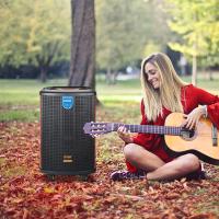 China Custom 80W Outdoor Bluetooth Portable Speaker With Wheels 45Hz - 20KHz for sale