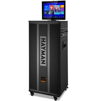 China AC Powered Karaoke Video Machine Bluetooth USB AUX HDMI LED Display Speaker for sale