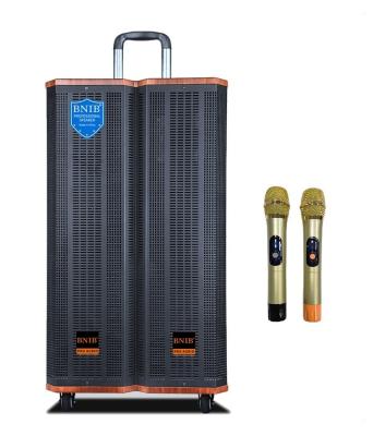 China ODM OEM Wooden Outdoor Active Speakers Karaoke Speaker Sound System for sale
