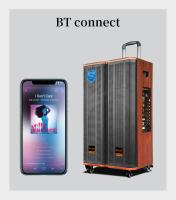 China ODM OEM Wooden Outdoor Active Speakers Karaoke Speaker Sound System for sale
