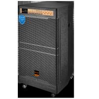 China 12V / 20Ah 200W Pre Amplified Speaker Sound Box Audio Equipment With Wireless Mic for sale
