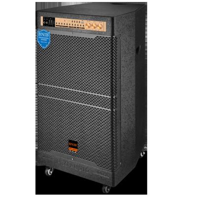 China 12V / 20Ah 200W Pre Amplified Speaker Sound Box Audio Equipment With Wireless Mic for sale