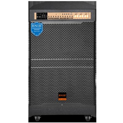 China 2000W Battery Operated Portable Speaker HI-FI Sound Home Theatre Party Speaker for sale