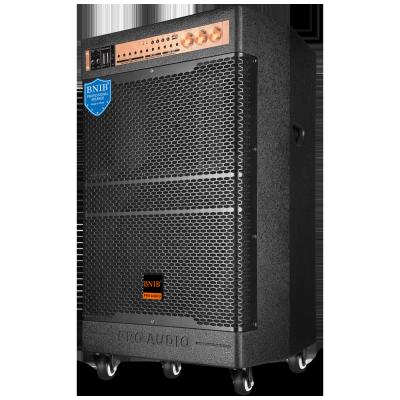 China Battery Powered Pre Amplified Speaker 95 Db Boosted Audio Speaker System for sale