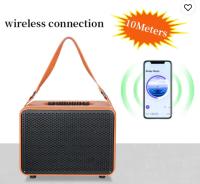 China Popular Active Tws Portable Speaker USB 6.5 Inch Karaoke Speaker With Mics for sale