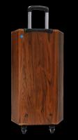 China Wooden 80W Portable Trolley Speaker Customized 12V / 7Ah Battery With 2 Mic for sale