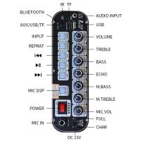 China Rechargeable Portable Karaoke Speaker With Voice Control Echo Cancellation for sale
